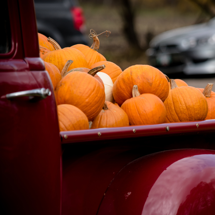 Fall Pick-up – Elegant Pumpkins
